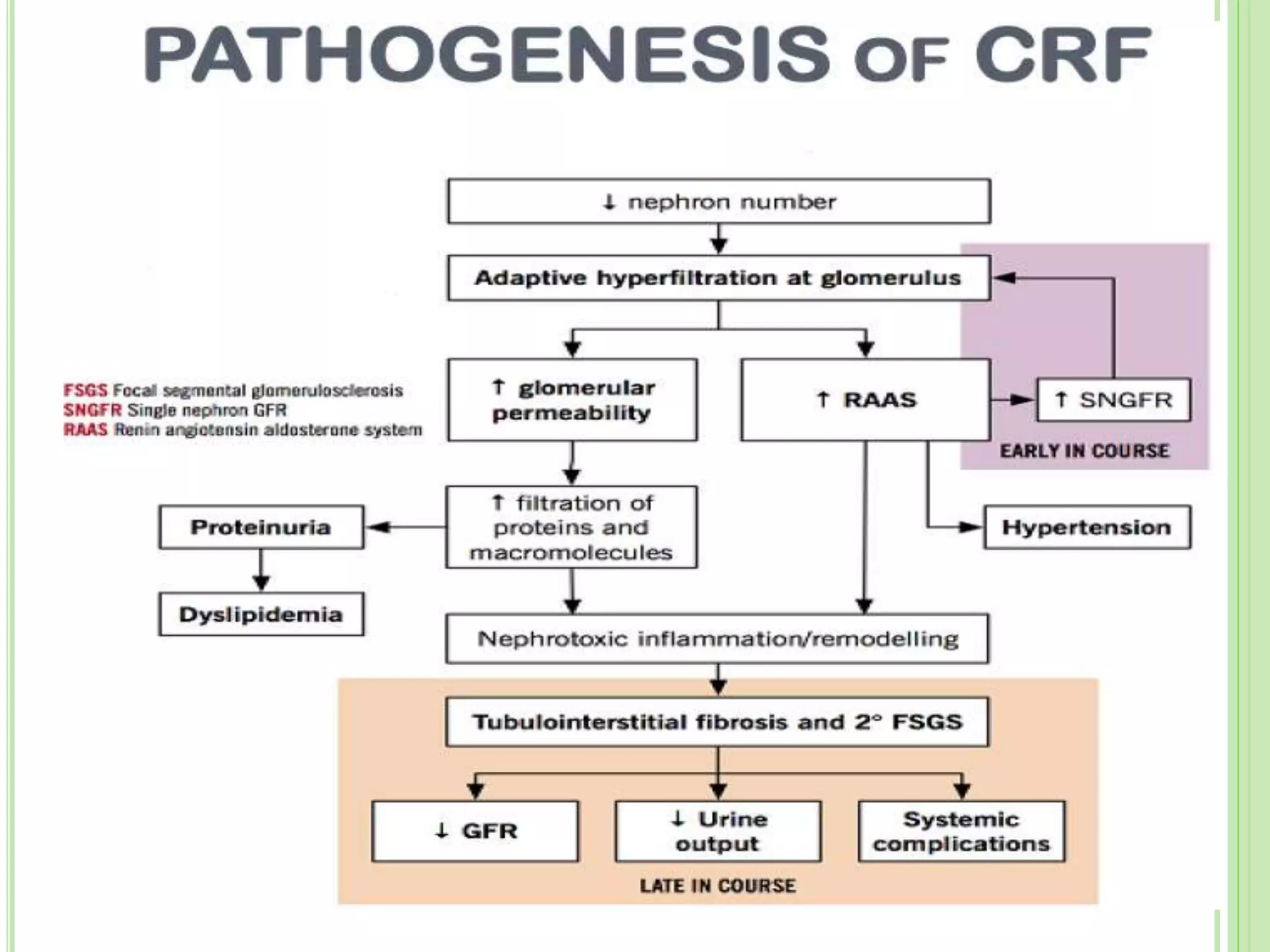 Renal failure-ARF & CRF | PPTX