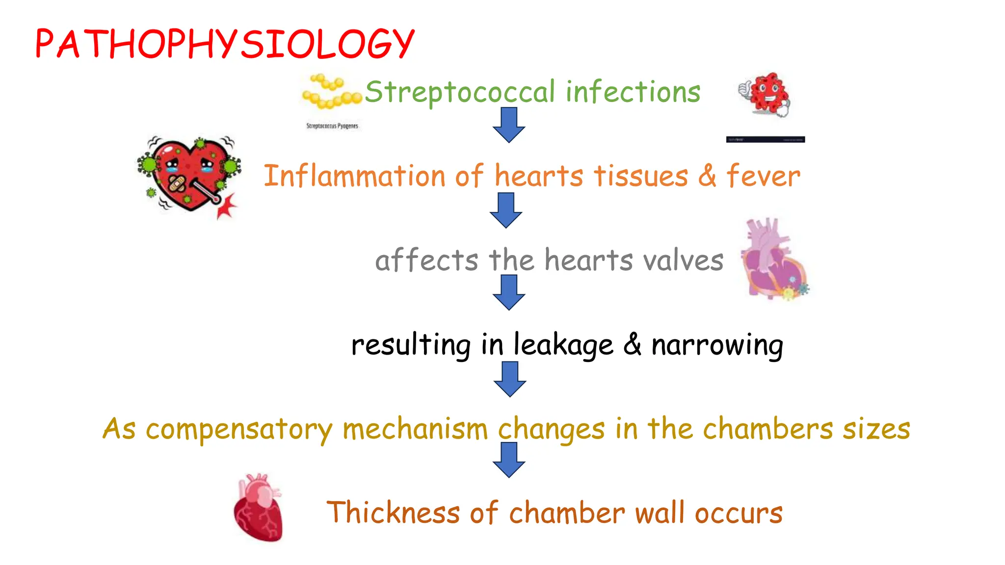 RHEUMATIC FEVER ,Introduction,Etiology,Clinical manifestations ...