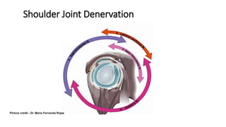 RFA targets conventional,pulsed.pptx