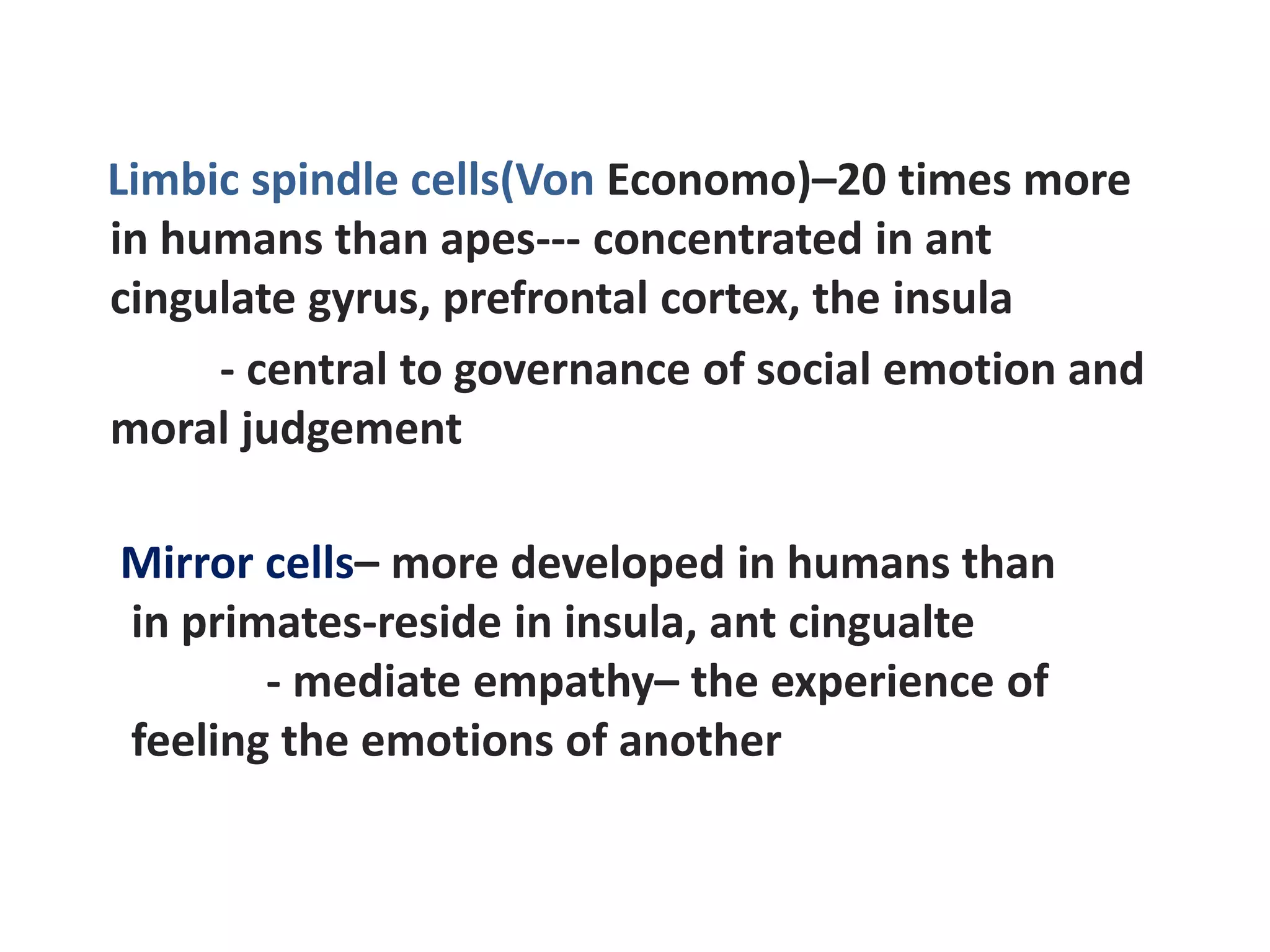 Limbicsystem | PPTX