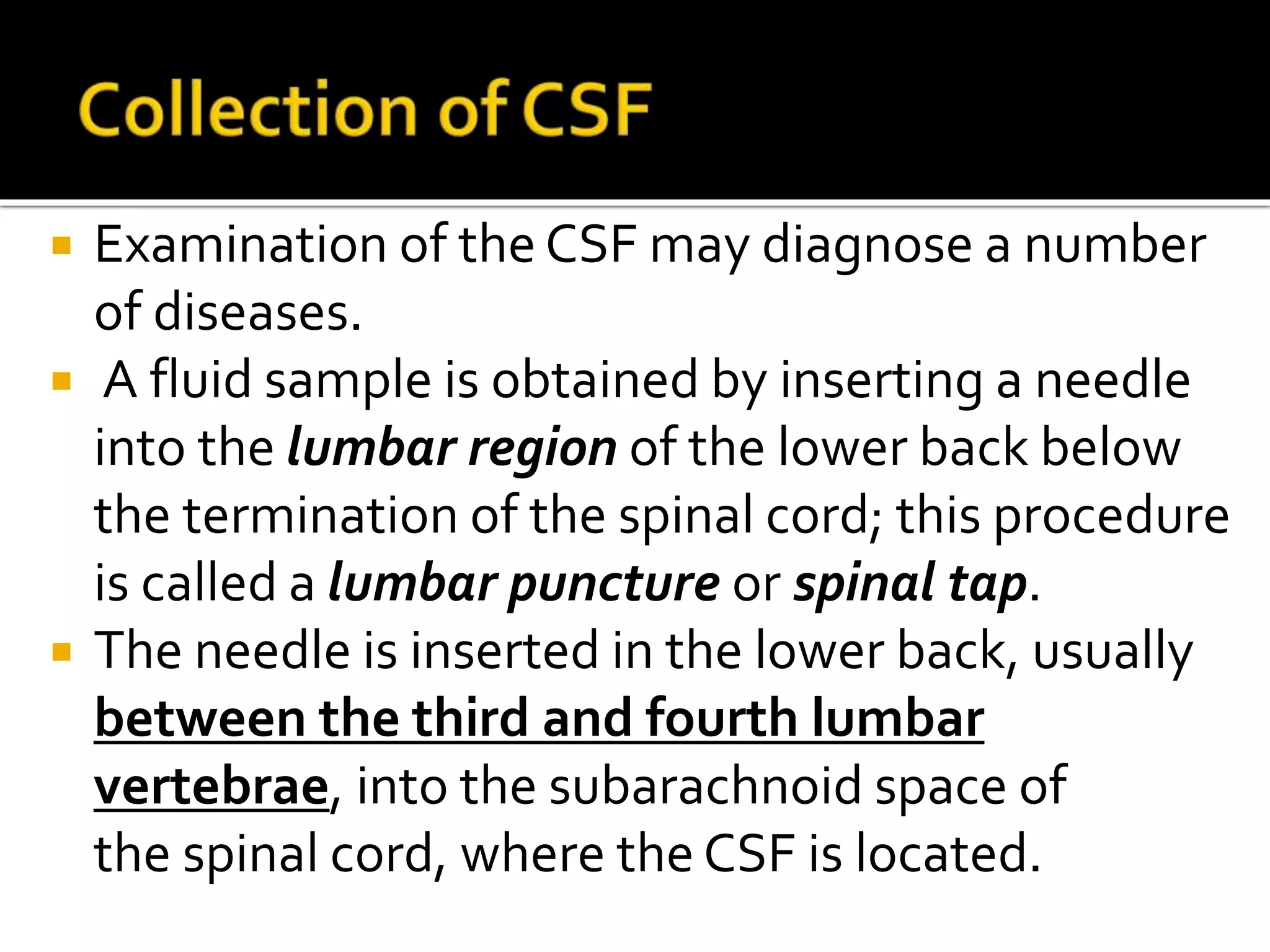 Collection, transport and processing of clinical specimens: CSF | PPTX