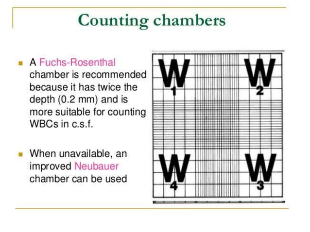 Collection Transport And Processing Of Clinical Specimens Csf Pptx