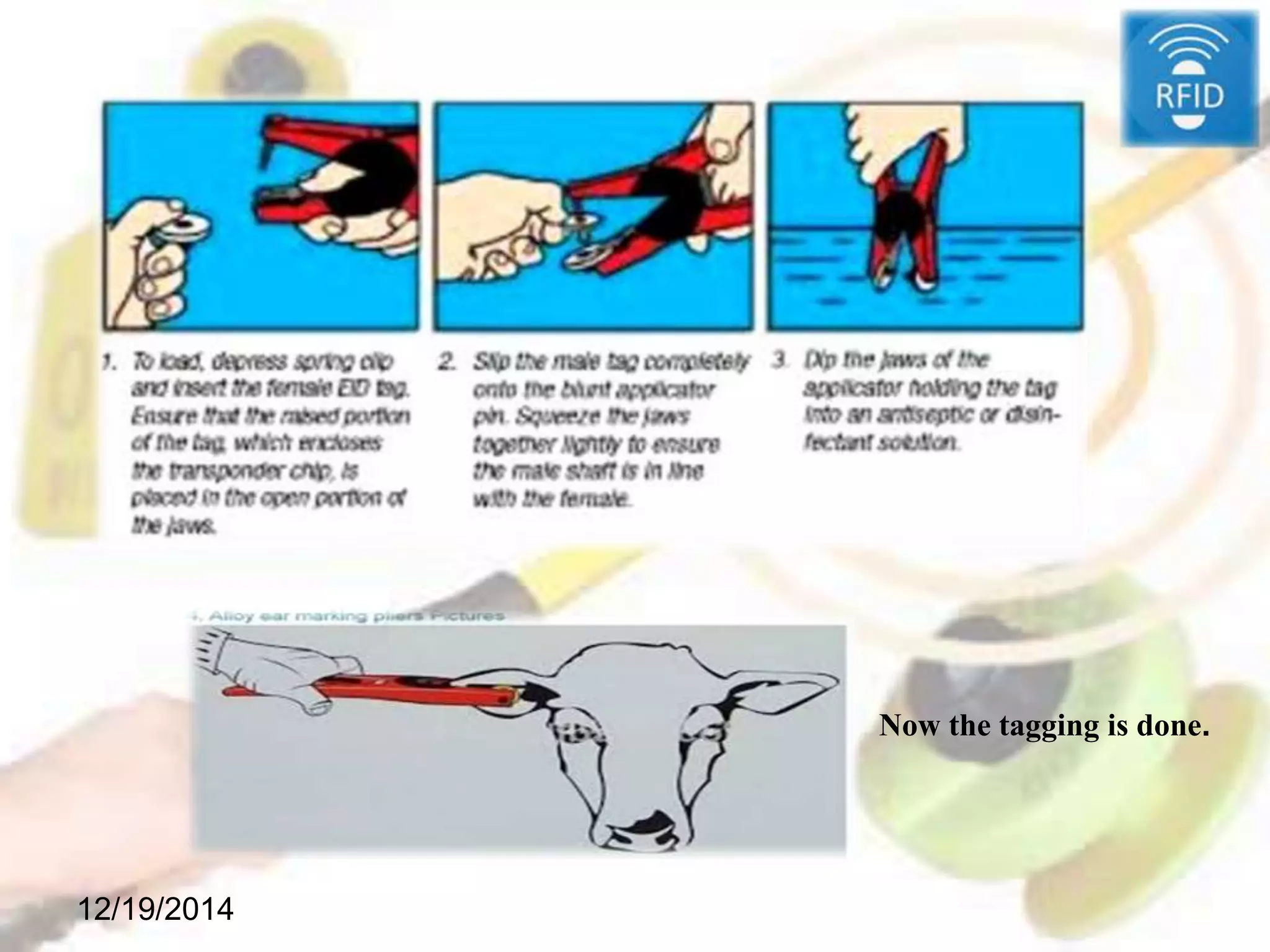 Rfid a modern technique in animal identification | PPTX