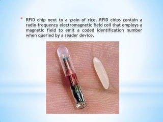 Rfid Work Without Video | PPT