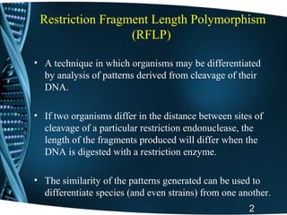 RFLP | PPT