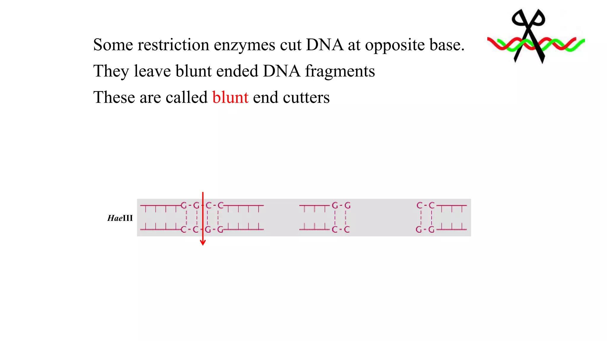 Restriction Fragment Length Polymorphism (RFLP) | PPTX