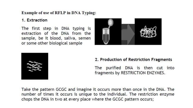 Restriction Fragment Length Polymorphism (RFLP) | PPTX