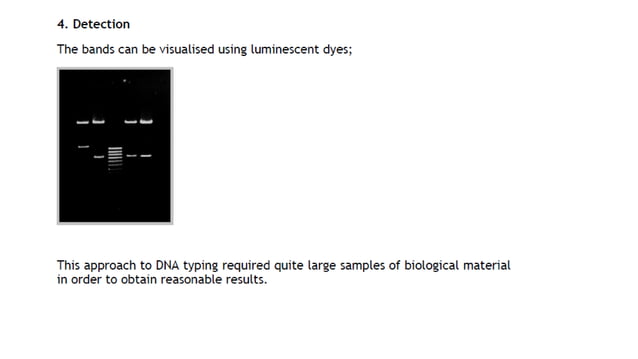 Restriction Fragment Length Polymorphism Rflp Pptx