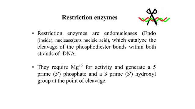 Restriction Fragment Length Polymorphism Rflp Pptx