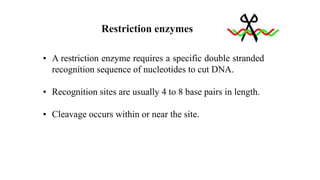 Restriction Fragment Length Polymorphism (RFLP) | PPTX