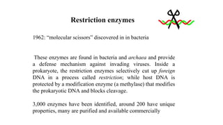 Restriction Fragment Length Polymorphism Process