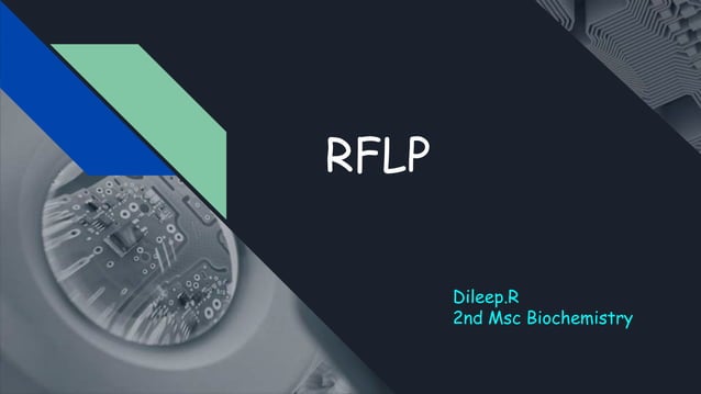 Rflp | PPT