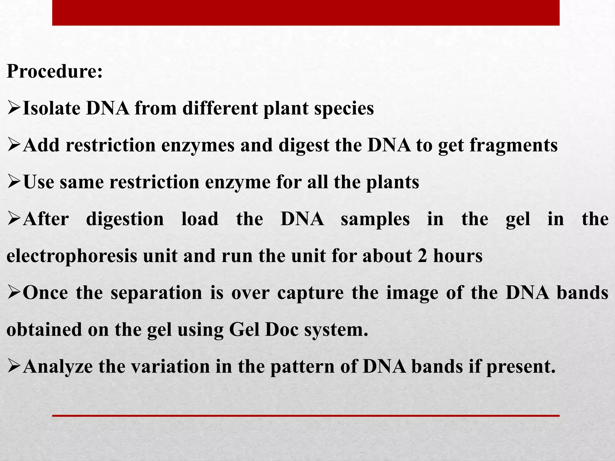 Rflp Restriction Fragment Length Polymorphism Ppt