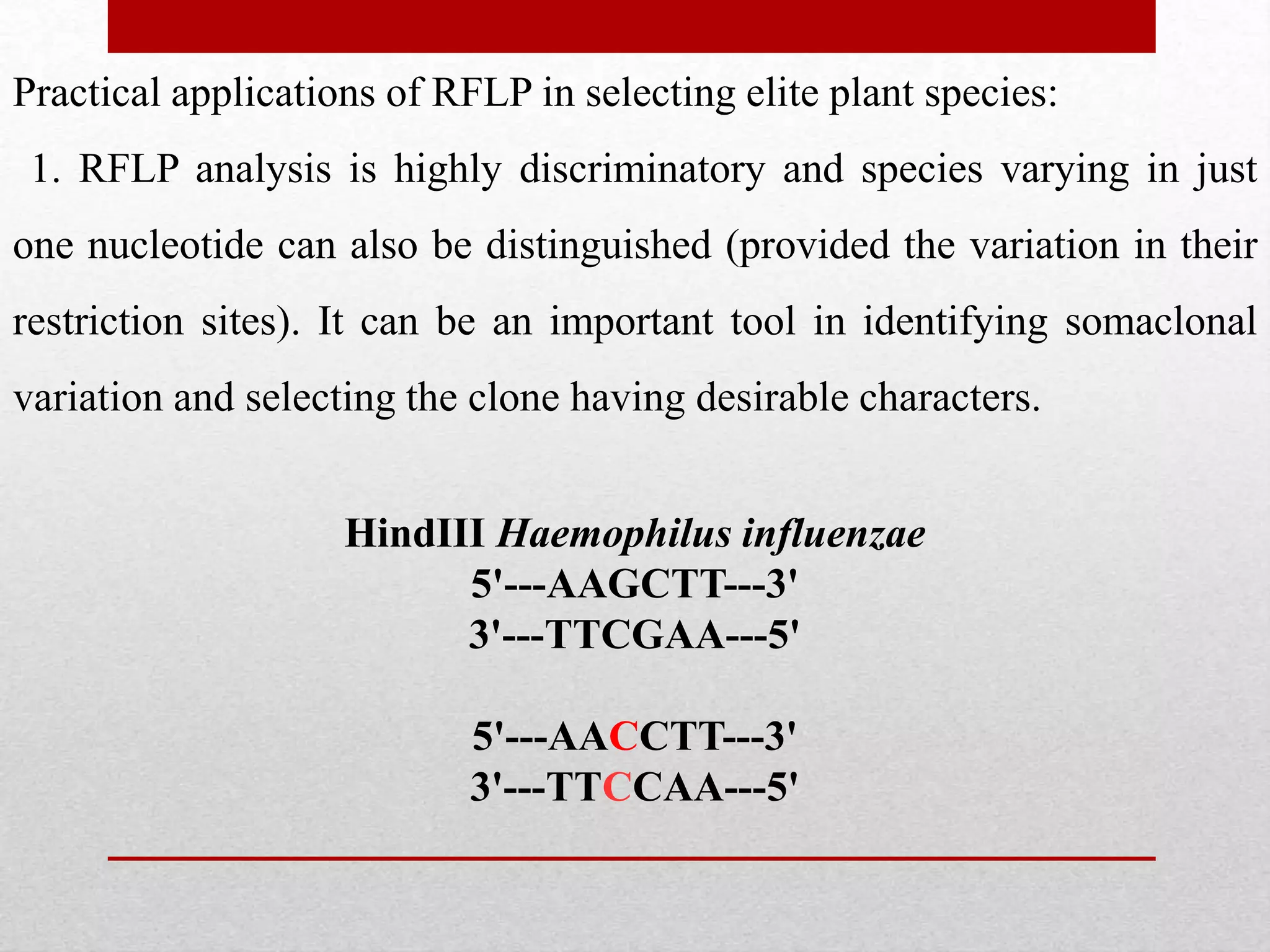 Rflp Restriction Fragment Length Polymorphism Ppt