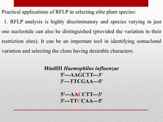 RFLP - Restriction Fragment Length Polymorphism | PPT