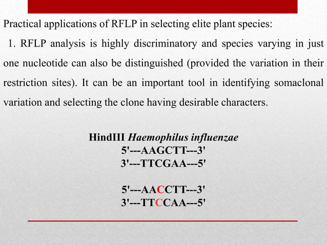 RFLP - Restriction Fragment Length Polymorphism | PPT
