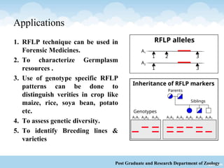 RFLP | PPT