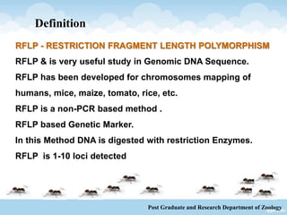 RFLP | PPT