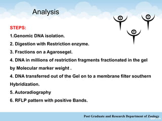 RFLP | PPT