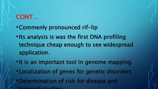 RFLP.pptx