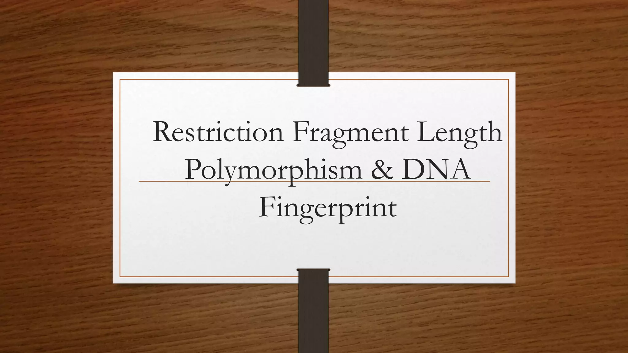 Rflp & dna fingerprint | PPTX
