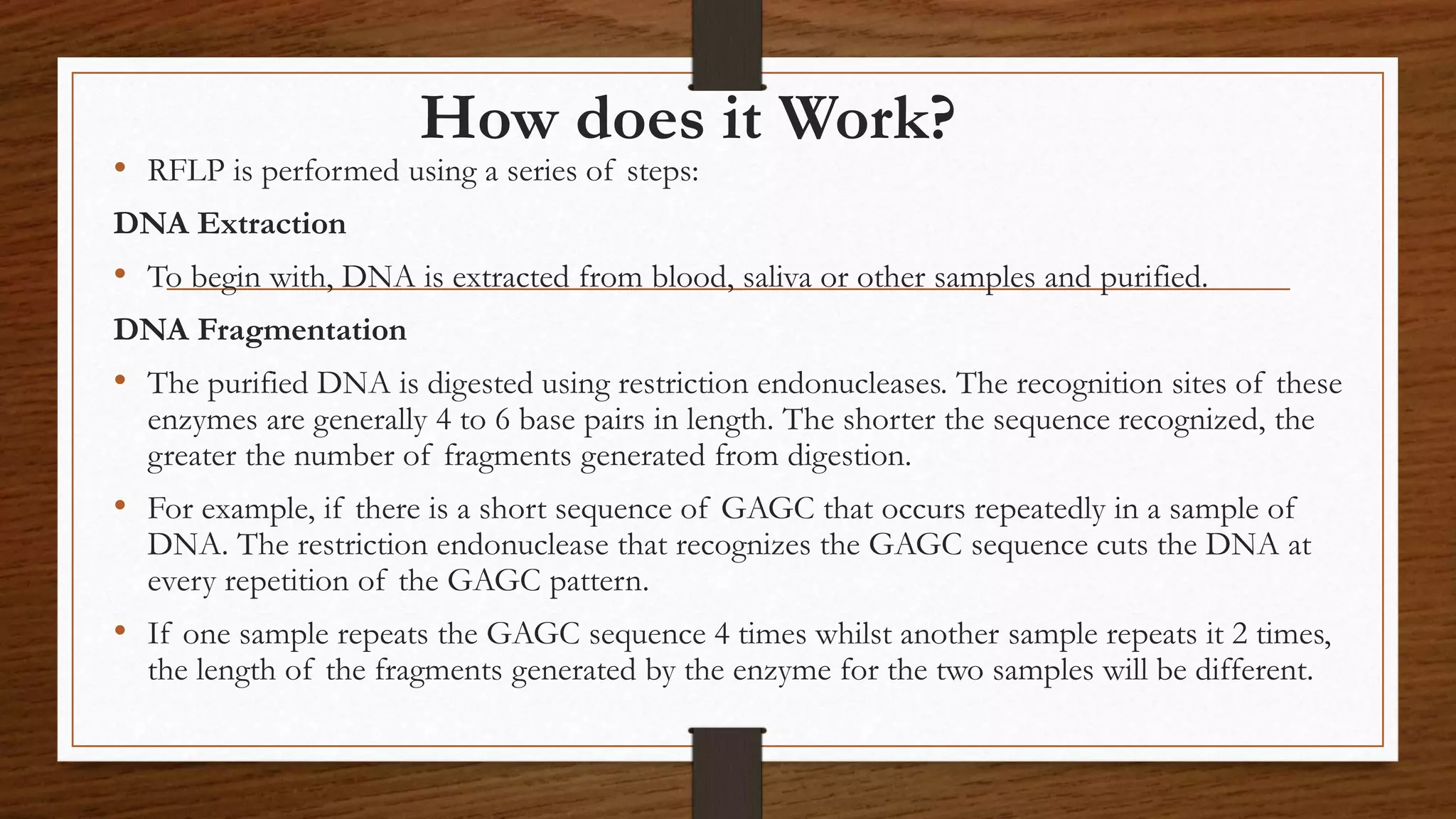 Rflp & dna fingerprint | PPTX