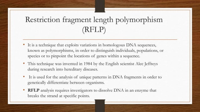Rflp & dna fingerprint | PPTX