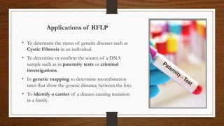 Rflp & dna fingerprint | PPTX
