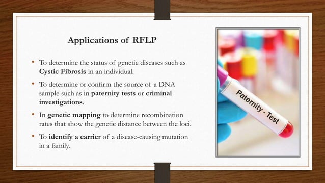 Rflp & dna fingerprint | PPTX