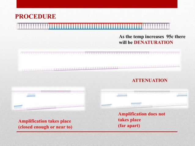 RFLP ,RAPD ,AFLP, STS, SCAR ,SSCP & QTL | PPTX | Genetics | Science