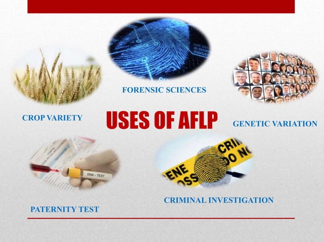 RFLP ,RAPD ,AFLP, STS, SCAR ,SSCP & QTL | PPTX | Genetics | Science