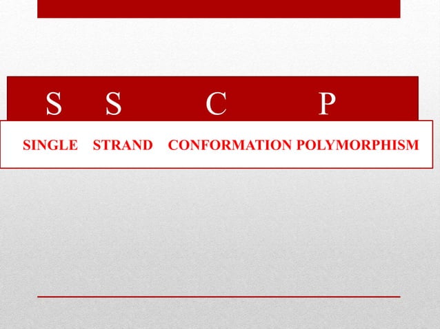 RFLP ,RAPD ,AFLP, STS, SCAR ,SSCP & QTL | PPTX | Genetics | Science