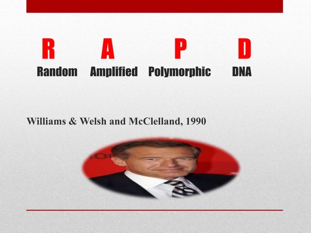 RFLP ,RAPD ,AFLP, STS, SCAR ,SSCP & QTL | PPTX | Genetics | Science