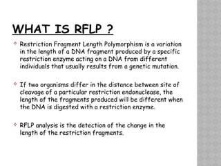 RESTRICTION FRAGMENT LENGTH POLYMORPHISM | PPTX
