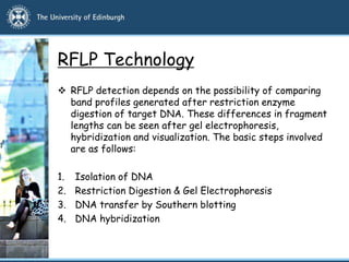 Rflp presentation | PPTX