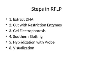 RFLP_Presentation_heyyyyyyyyyyyyyyyyypptx | PPTX