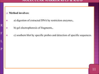 RFLP & RAPD | PPTX
