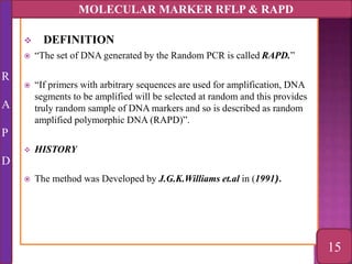 RFLP & RAPD | PPTX