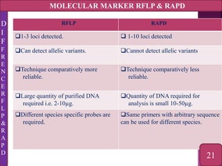RFLP & RAPD | PPTX