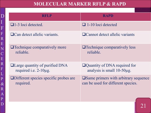 RFLP & RAPD | PPTX | Genetics | Science