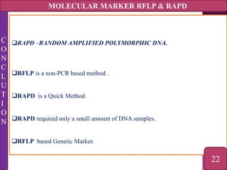 RFLP & RAPD | PPTX