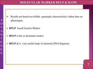 RFLP & RAPD | PPTX