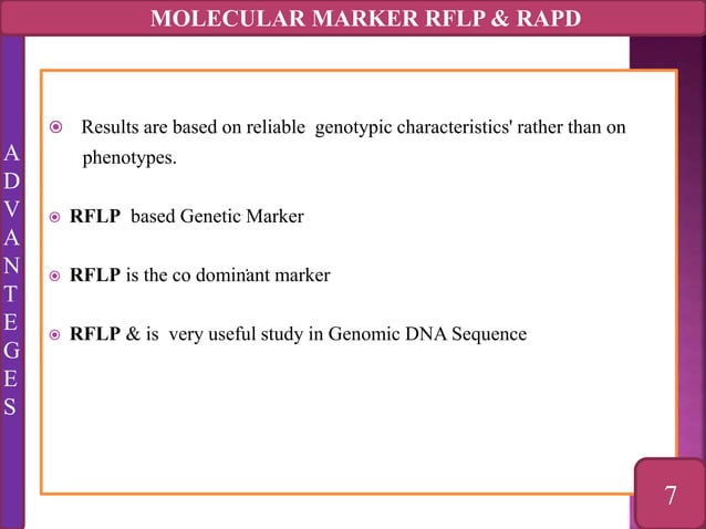 RFLP & RAPD | PPTX | Genetics | Science