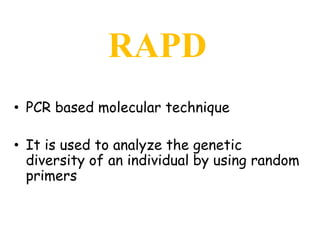 Rflp,rapd&aflp | PPT