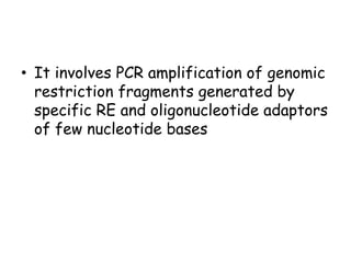 Rflp,rapd&aflp | PPT