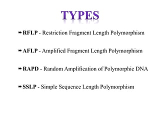 Rflp,rapd&aflp | PPT
