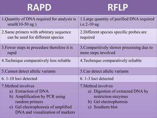 Rflp,rapd&aflp | PPT