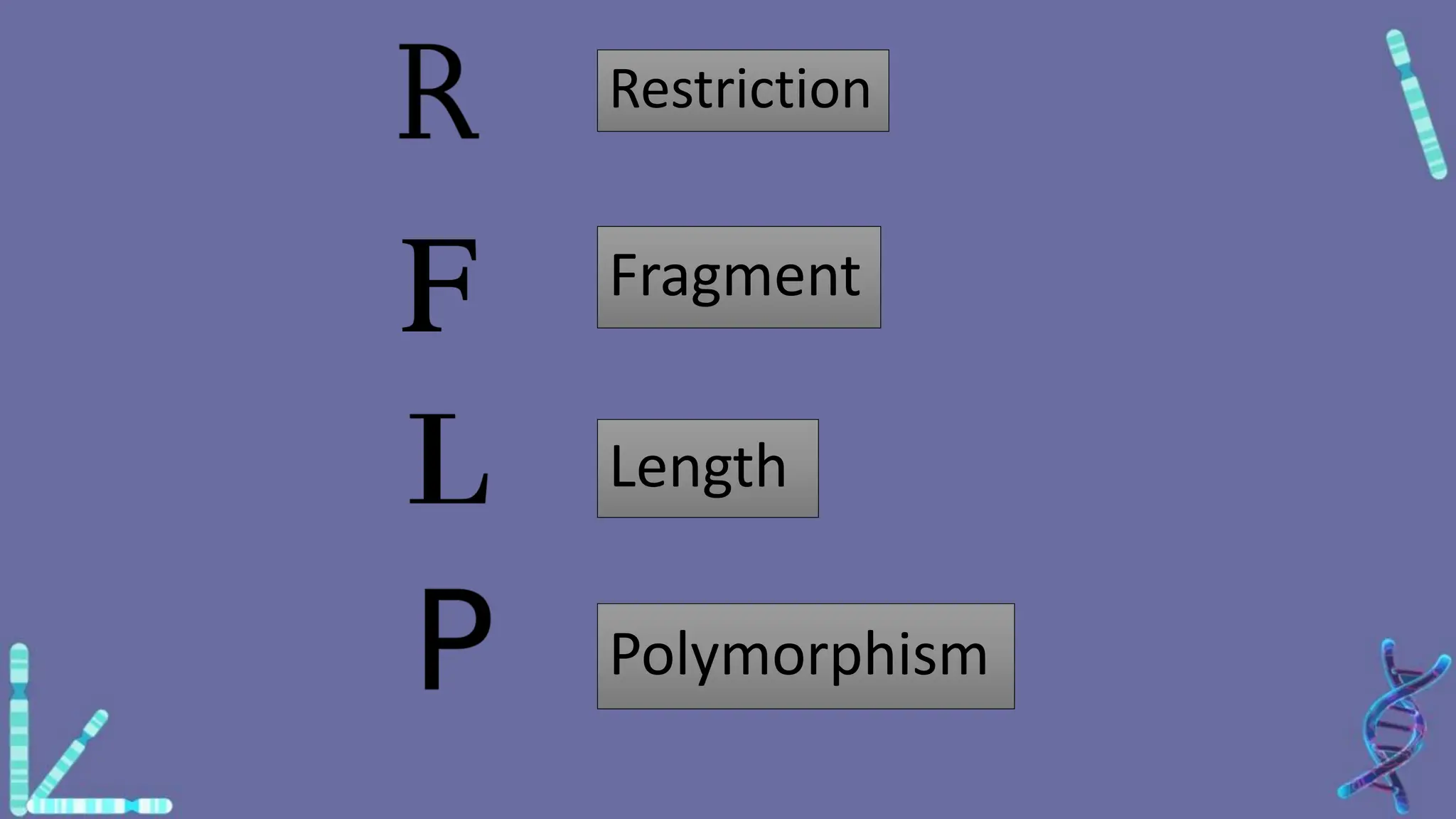 RFLPs (Restriction Fragment Length Polymerase).pdf