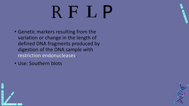 Rflps Restriction Fragment Length Polymerasepdf