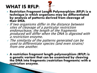 Rflp technology | PPT